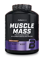 Muscle Mass (4 kg) - BioTech USA